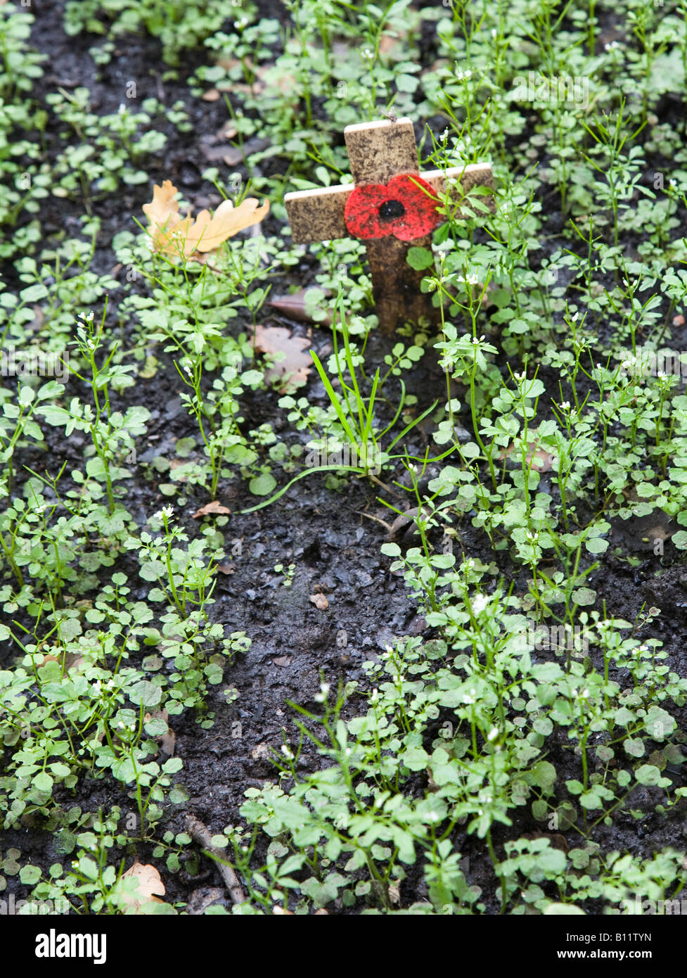 Red cross in world war one hi-res stock photography and images - Alamy