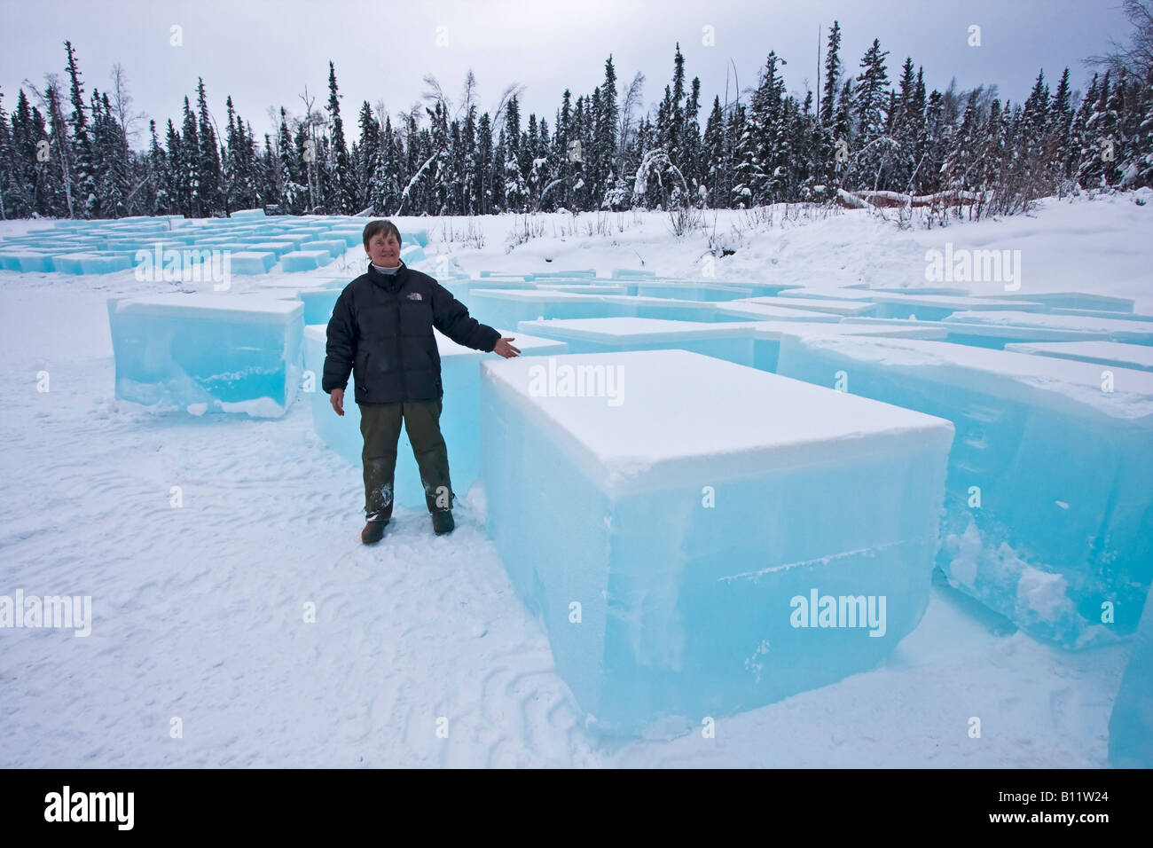 Ice Blocks For Carving