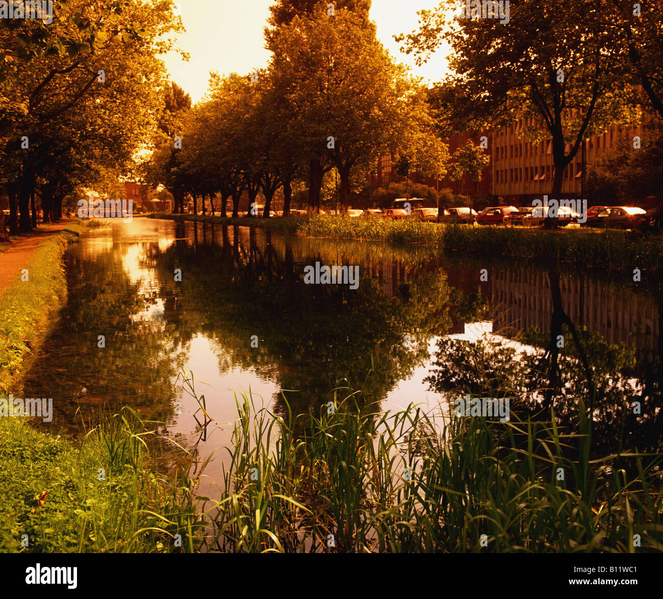 The Grand Canal at Mespil Road, Dublin, Ireland Stock Photo - Alamy