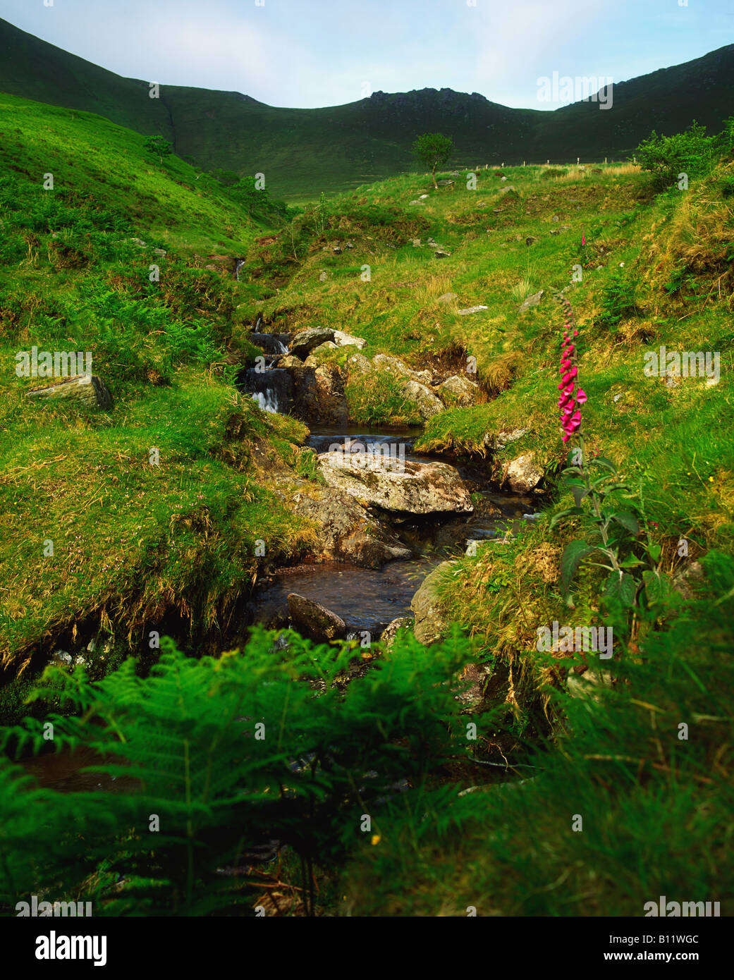 County Kerry, Ireland, Stream near the Slieve Mish Mountains Stock ...