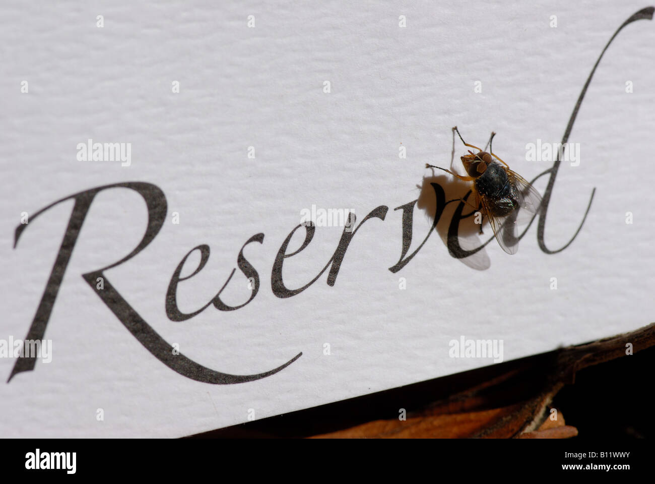 Self invited hi-res stock photography and images - Alamy