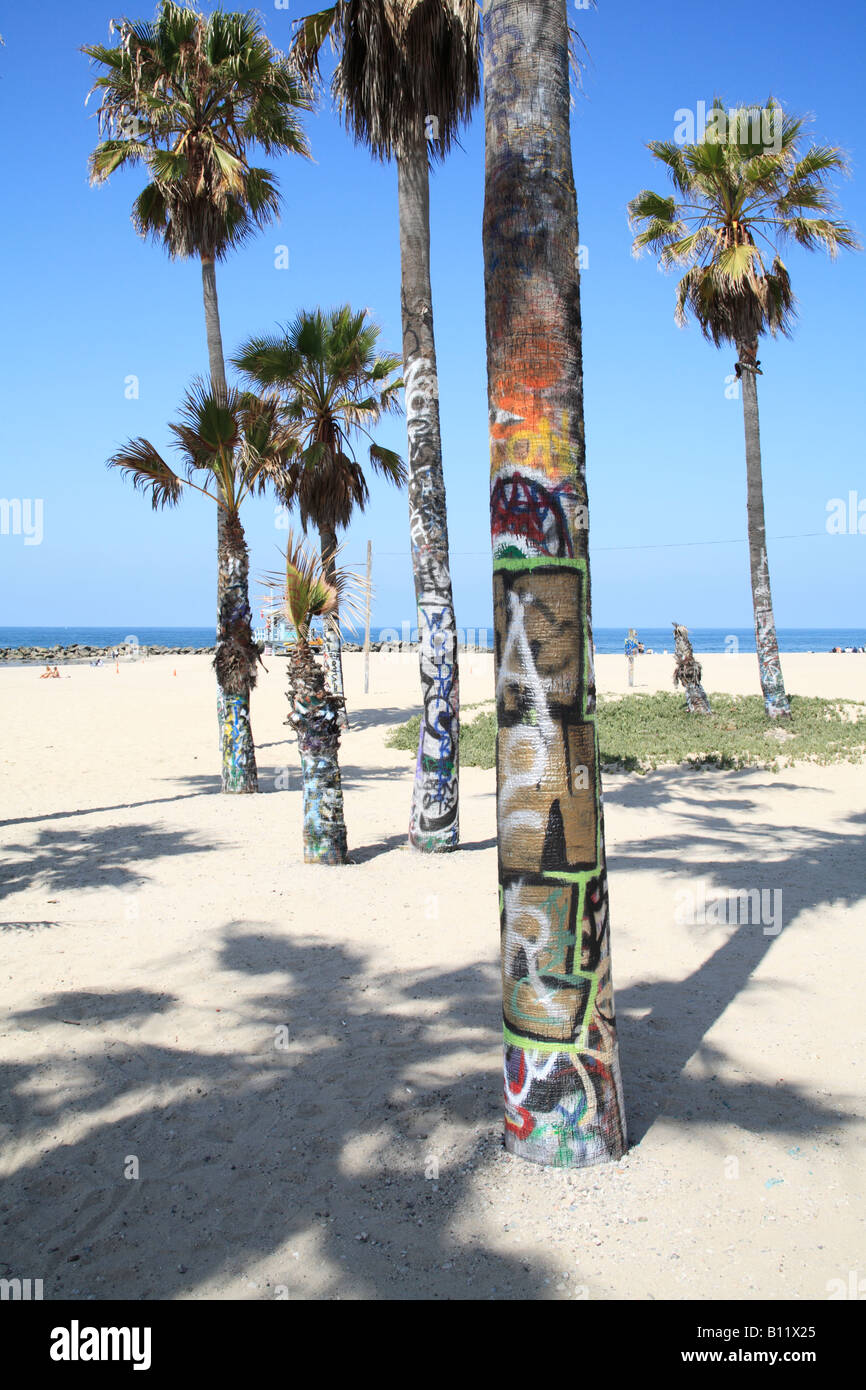 Graffiti on palm trees in Venice Beach, California Stock Photo - Alamy
