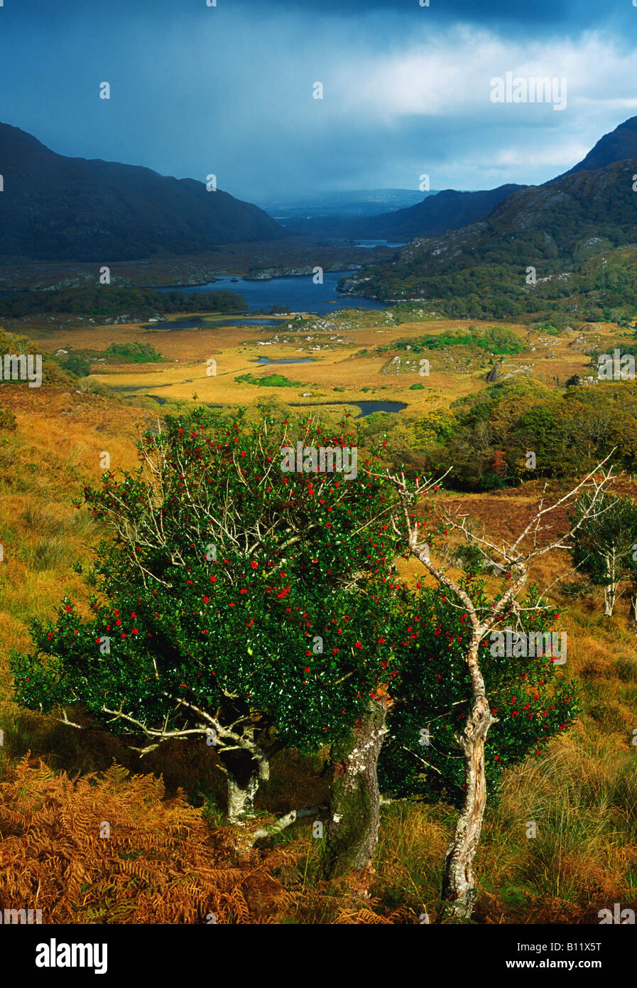 Ladies View, Killarney National Park, Ring of Kerry, County Kerry ...