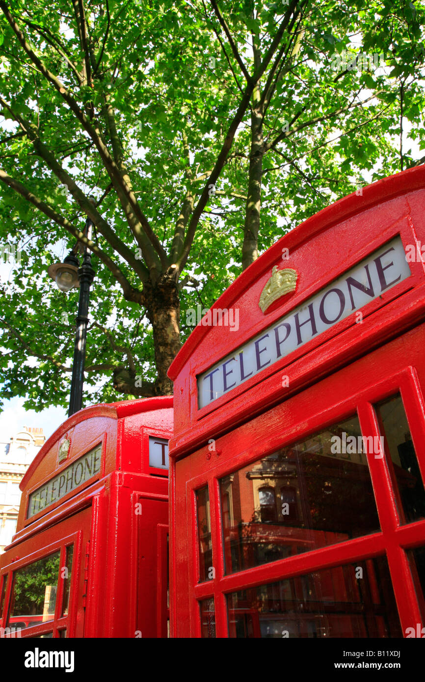 Telephone box and tree Stock Photo - Alamy