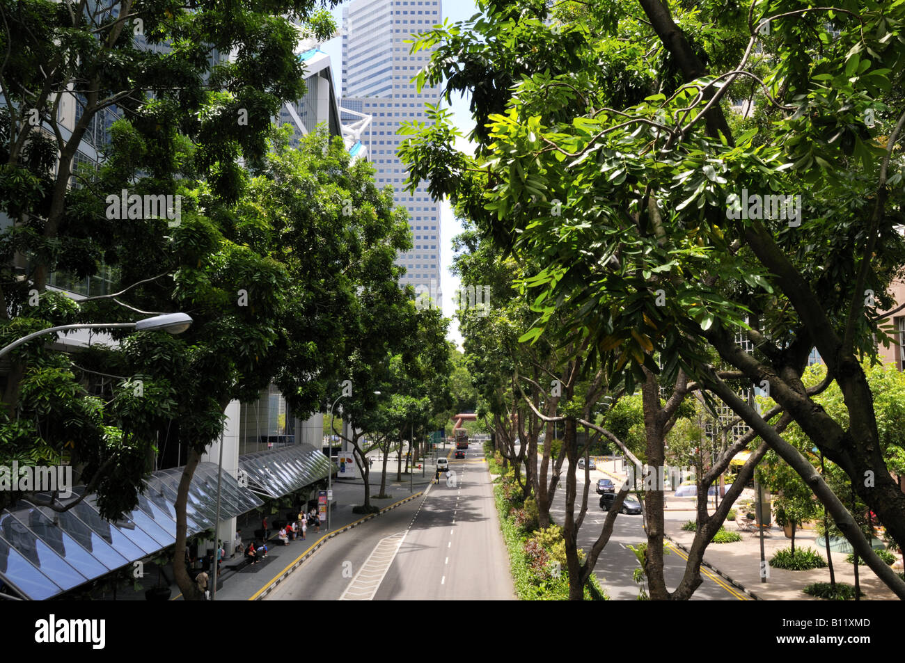Tree lined Temasek Boulevard Marina Bay Singapore Stock Photo - Alamy