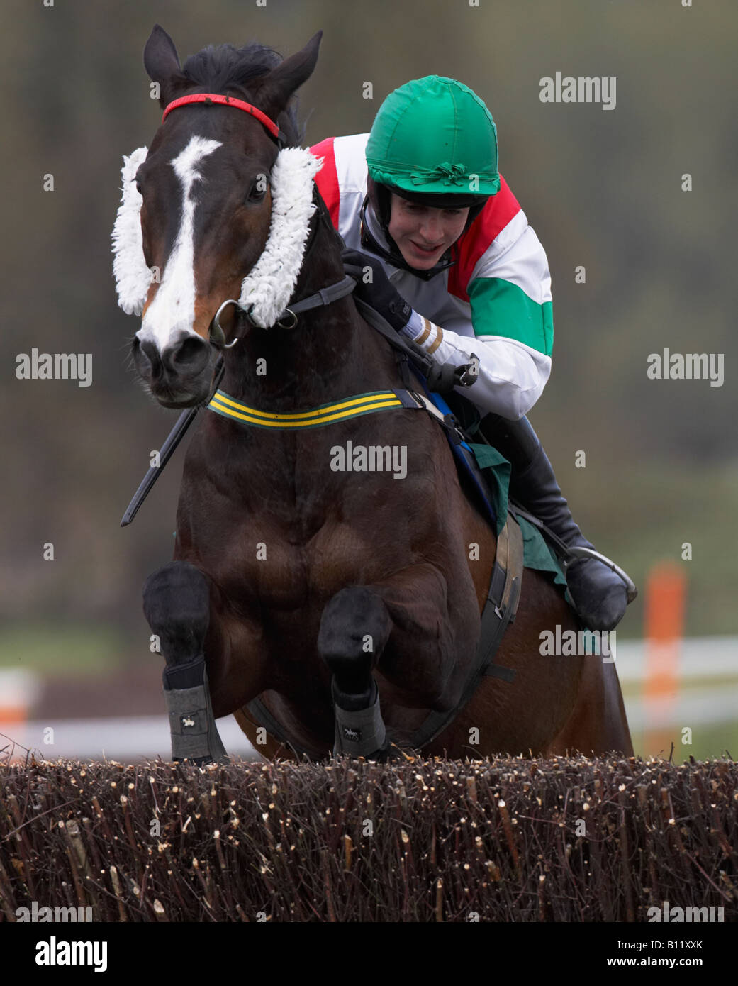 Professional national hunt jockey hi-res stock photography and images ...