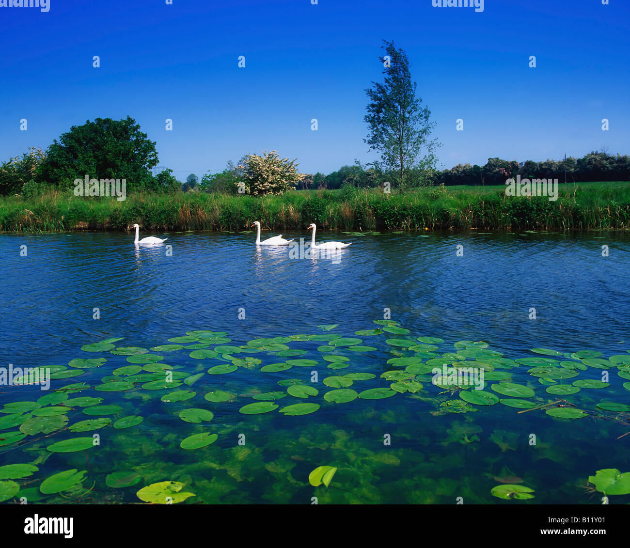 Robertstown hi-res stock photography and images - Alamy