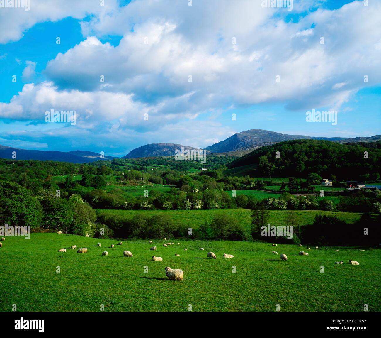 Kilgarvan hi-res stock photography and images - Alamy