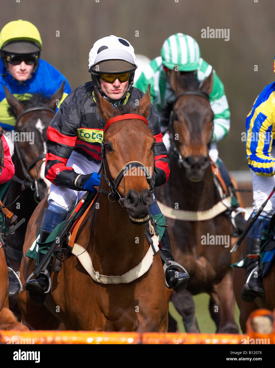 Horse racing jockey jumping a jump Stock Photo - Alamy