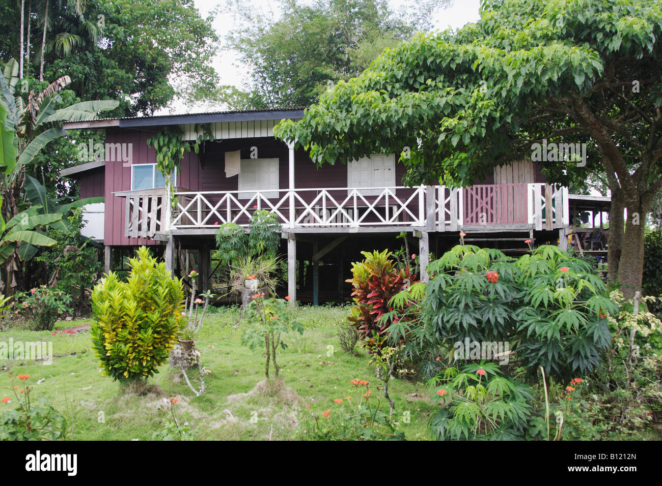 Traditional House In Jungle, Sukau, Sabah, Malaysian Borneo Stock Photo ...