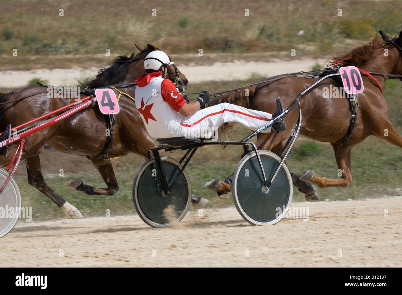 Cinder and sand racing at Marsa racetrack, Trotters, Horse-racing, Trot ...