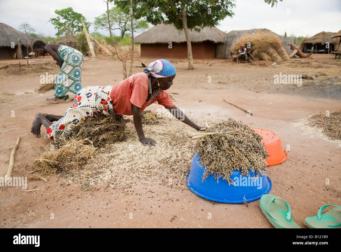 Thresh grain hi-res stock photography and images - Alamy
