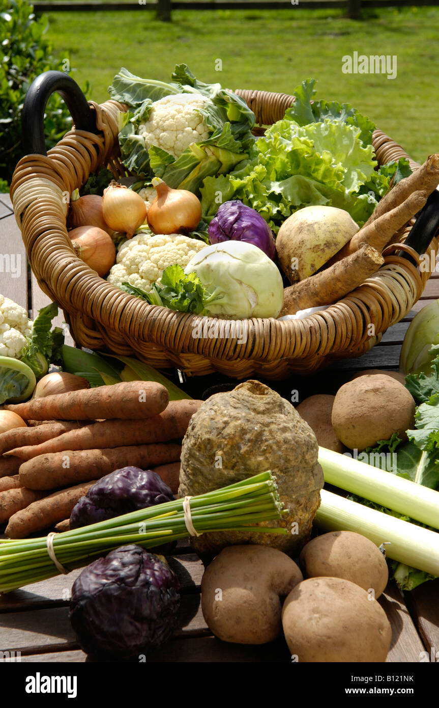Display of home grown vegetables England UK Stock Photo - Alamy