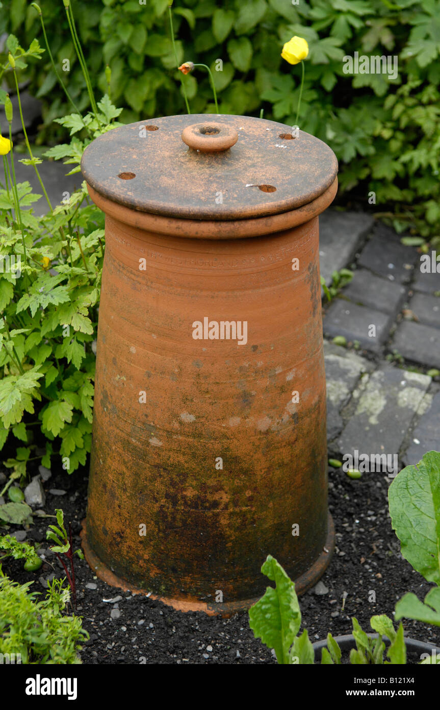 Earthenware rhubarb forcer in garden England UK Stock Photo - Alamy