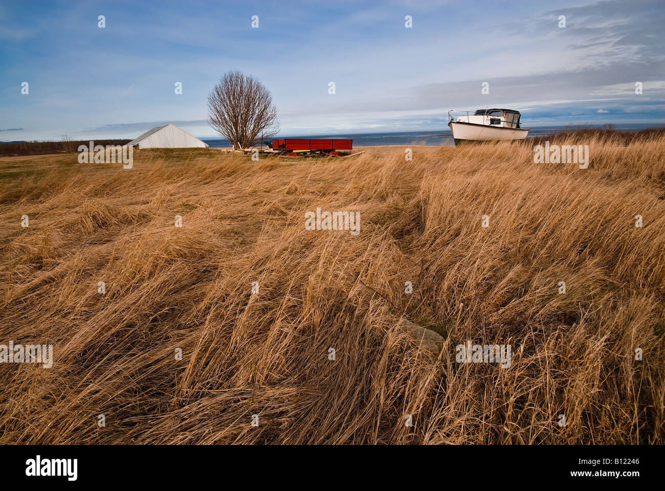 Boat in a hay field, region of Charlevoix, Canada Stock Photo - Alamy