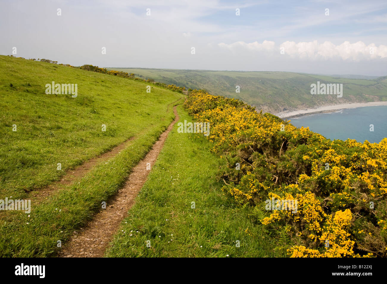 Coastal path in cornwall hi-res stock photography and images - Alamy