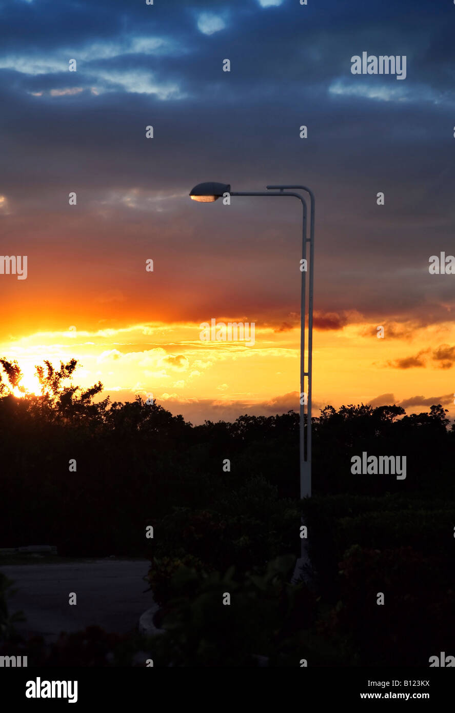 Tropical sunset & street lights Stock Photo - Alamy