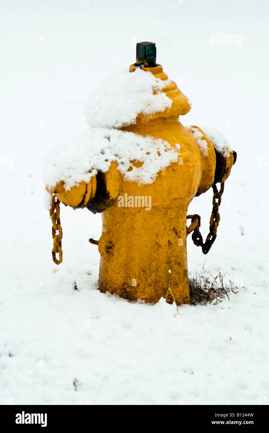 Yellow fire hydrant covered with snow Stock Photo - Alamy