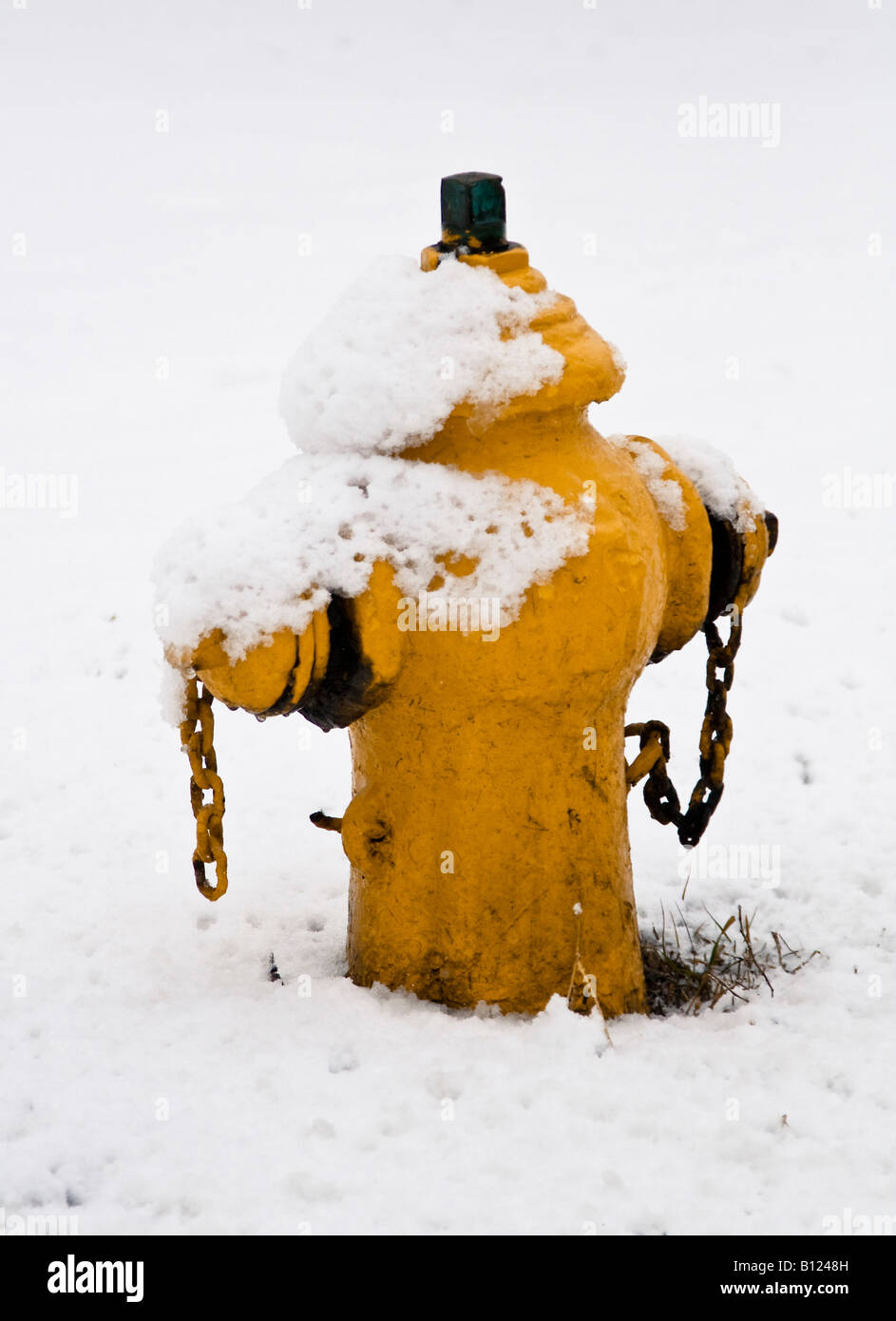Yellow fire hydrant covered with snow Stock Photo - Alamy