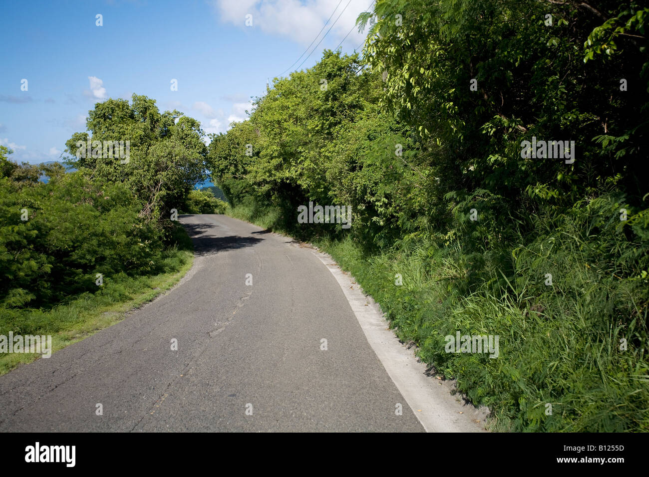 Road on St. John, USVI Stock Photo - Alamy