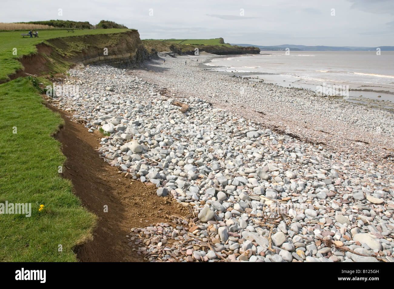 Pebble beach at Kilve, Somerset, England, UK Stock Photo - Alamy