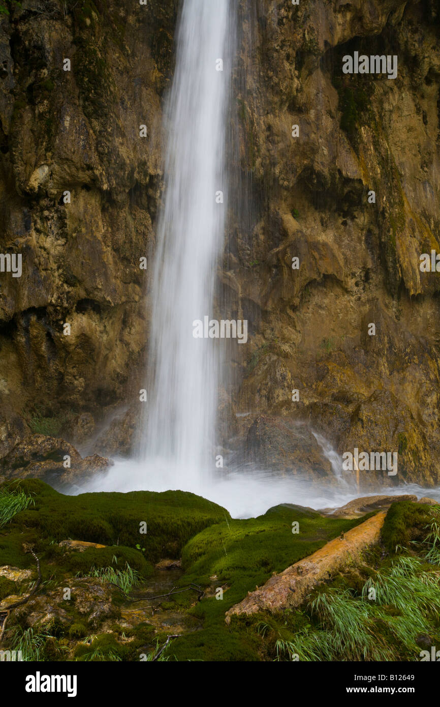 Long exposure image of small waterfall and withered trunk at Mali ...