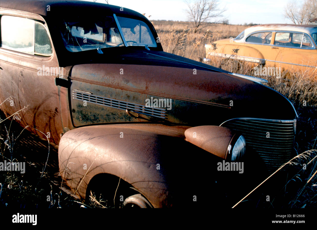 Cars rusting in USA scrapyard Stock Photo - Alamy