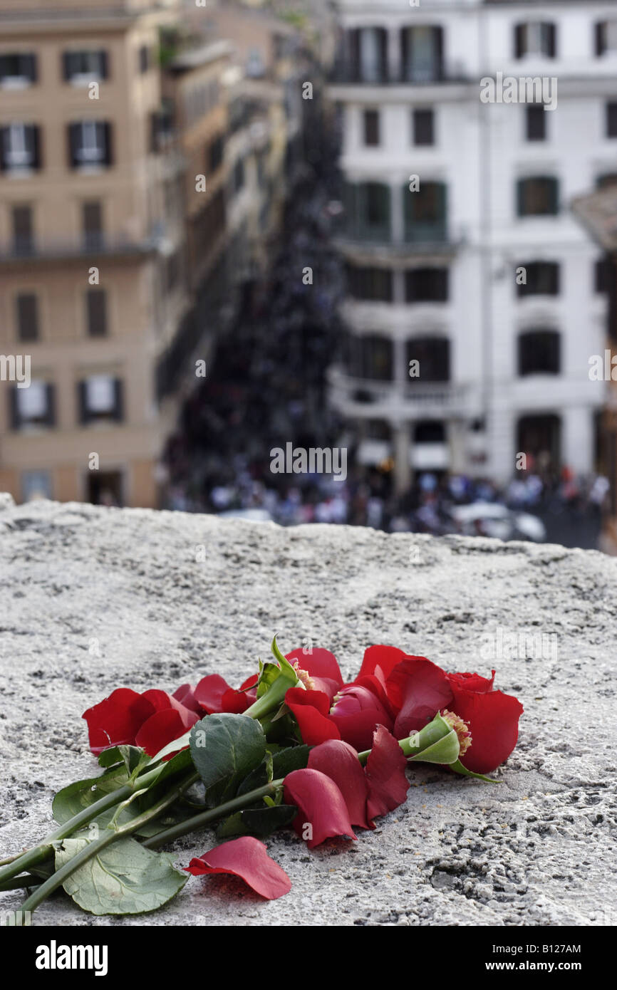 Roses in Spagna square, Italy Stock Photo - Alamy