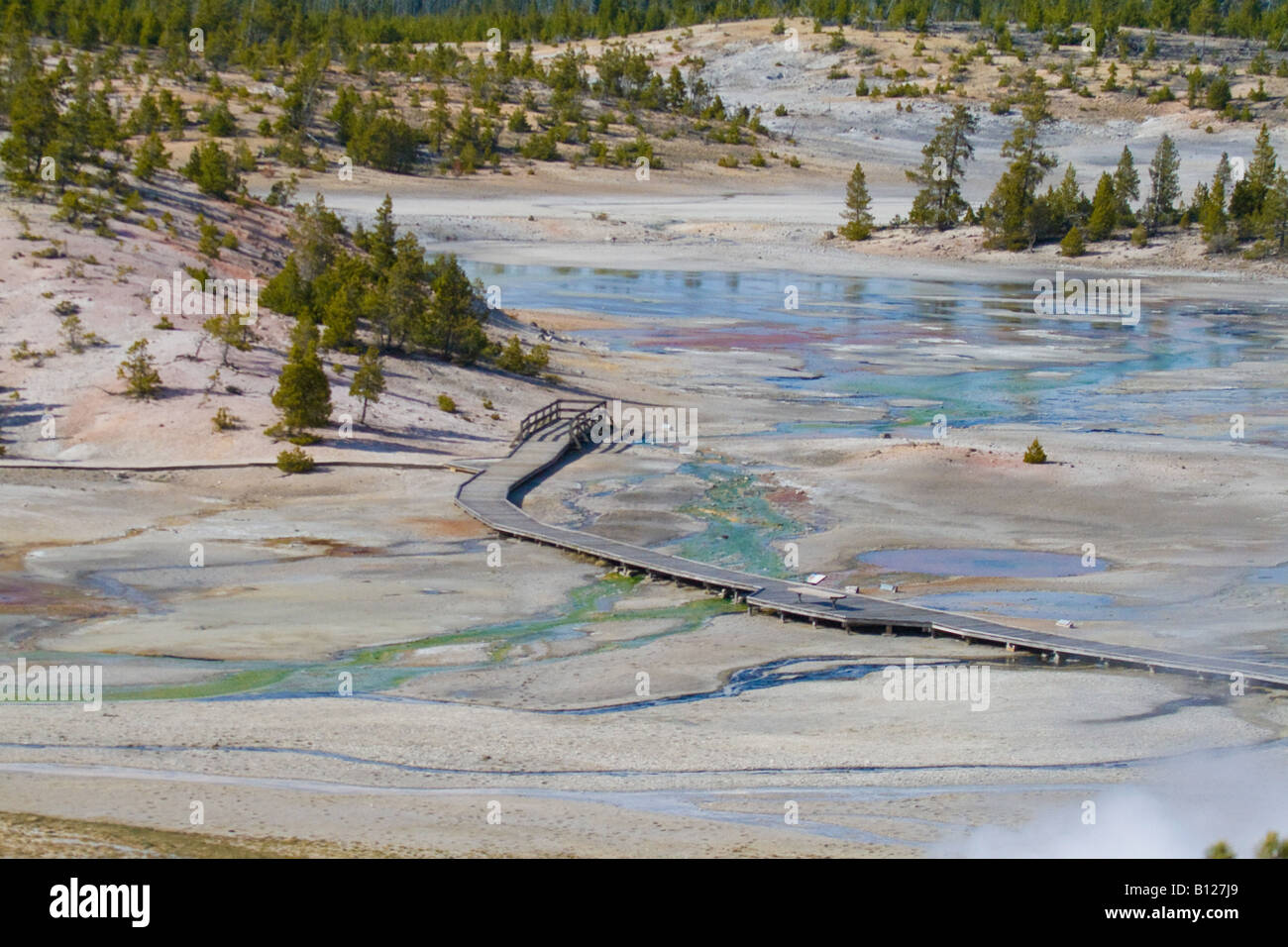 Norris Geyser Basin Stock Photo - Alamy