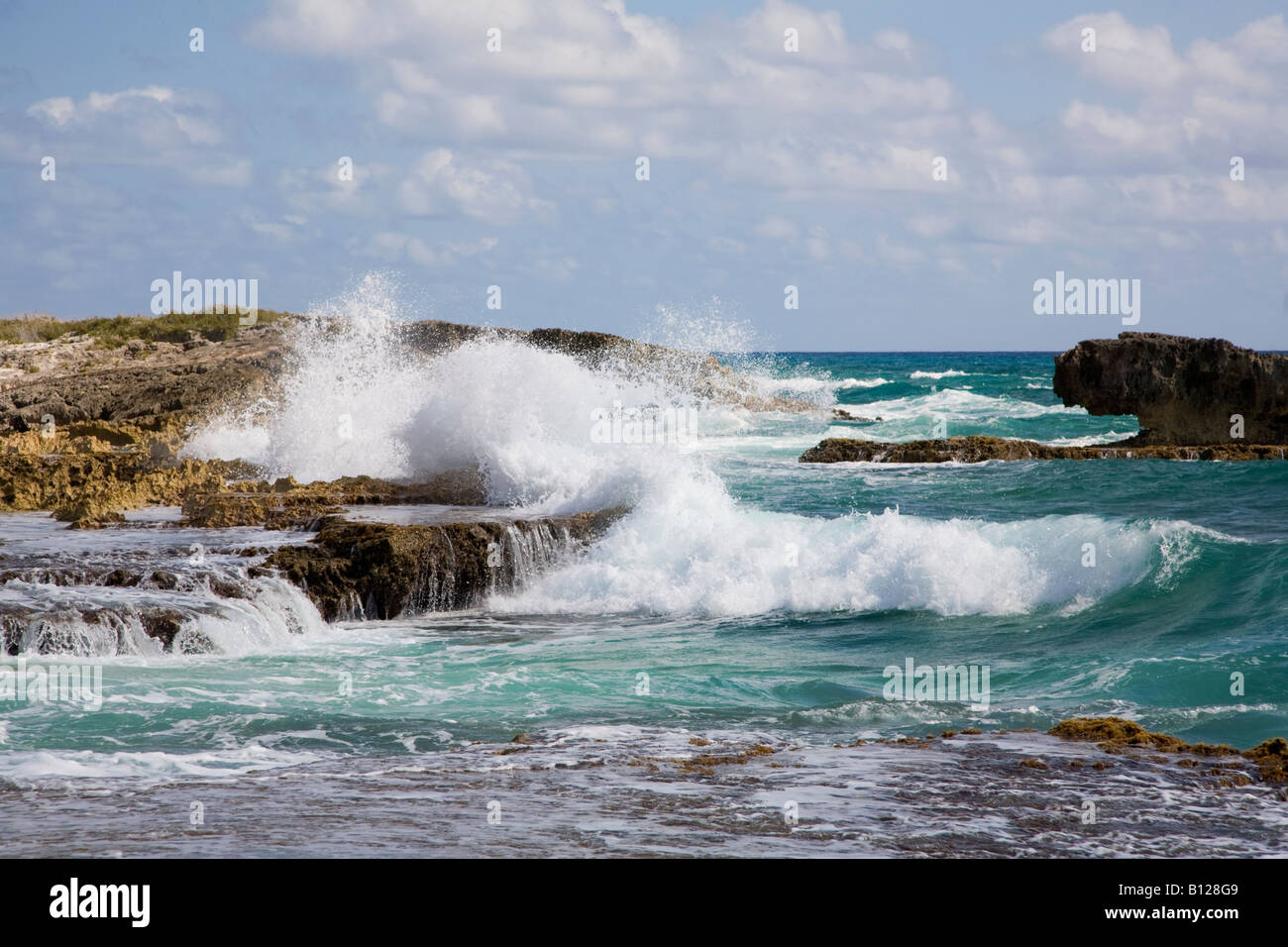 Rocky shore of the Caribbean Sea on the east coast of Cozumel Mexico ...
