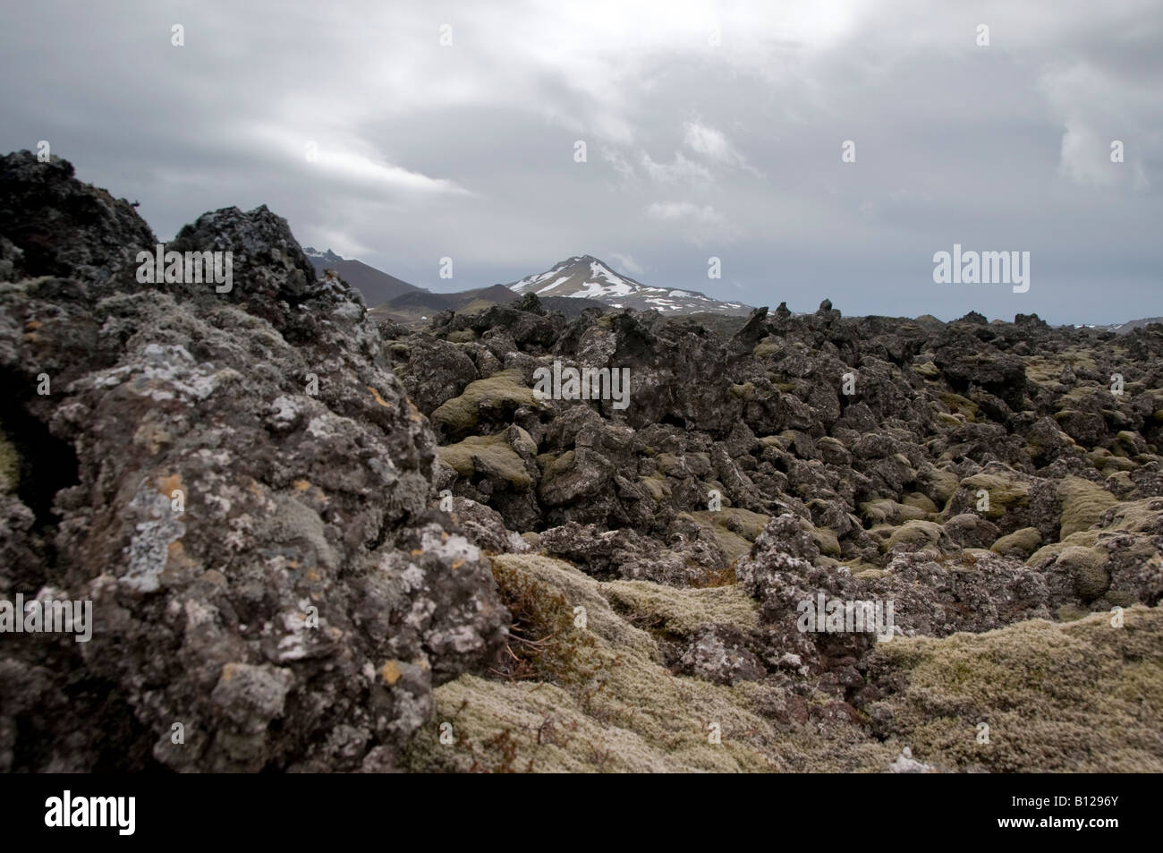 Iceland Lava fields with moss Stock Photo - Alamy