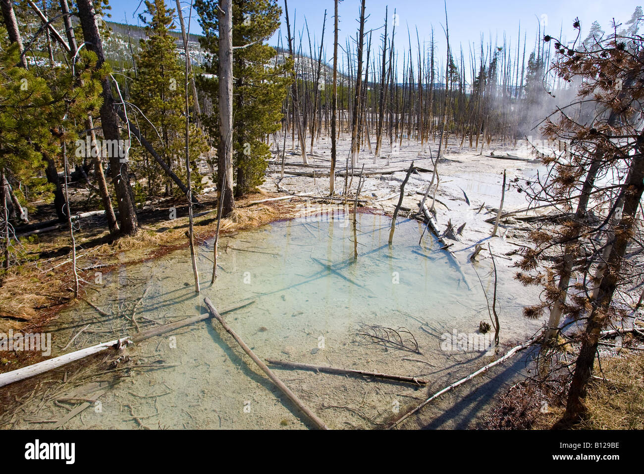 Cistern Spring at Norris Geyser Basin Stock Photo - Alamy