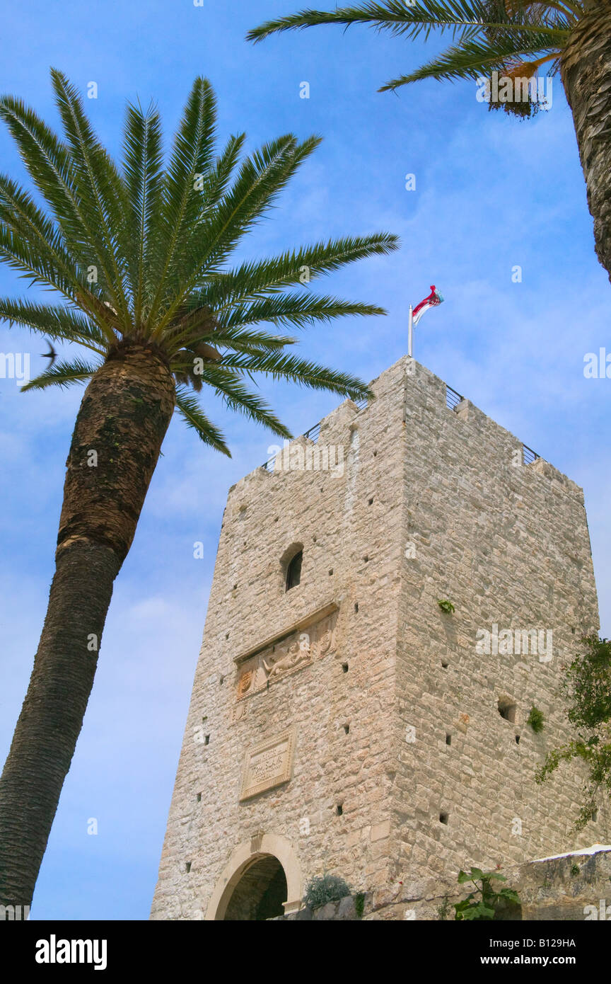 Korcula Castle with palm tree Croatia Stock Photo - Alamy