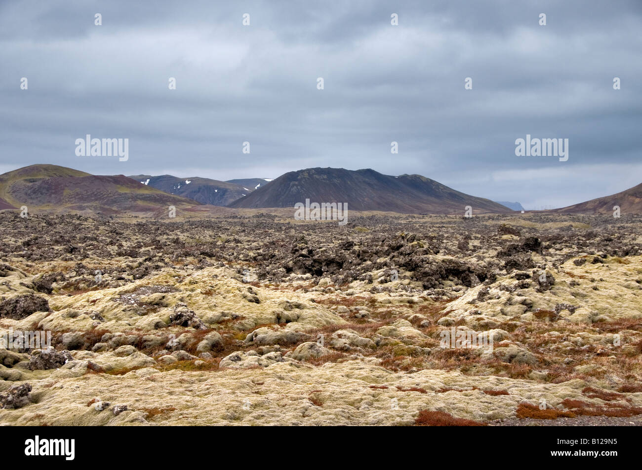 Iceland Lava fields with moss Stock Photo - Alamy