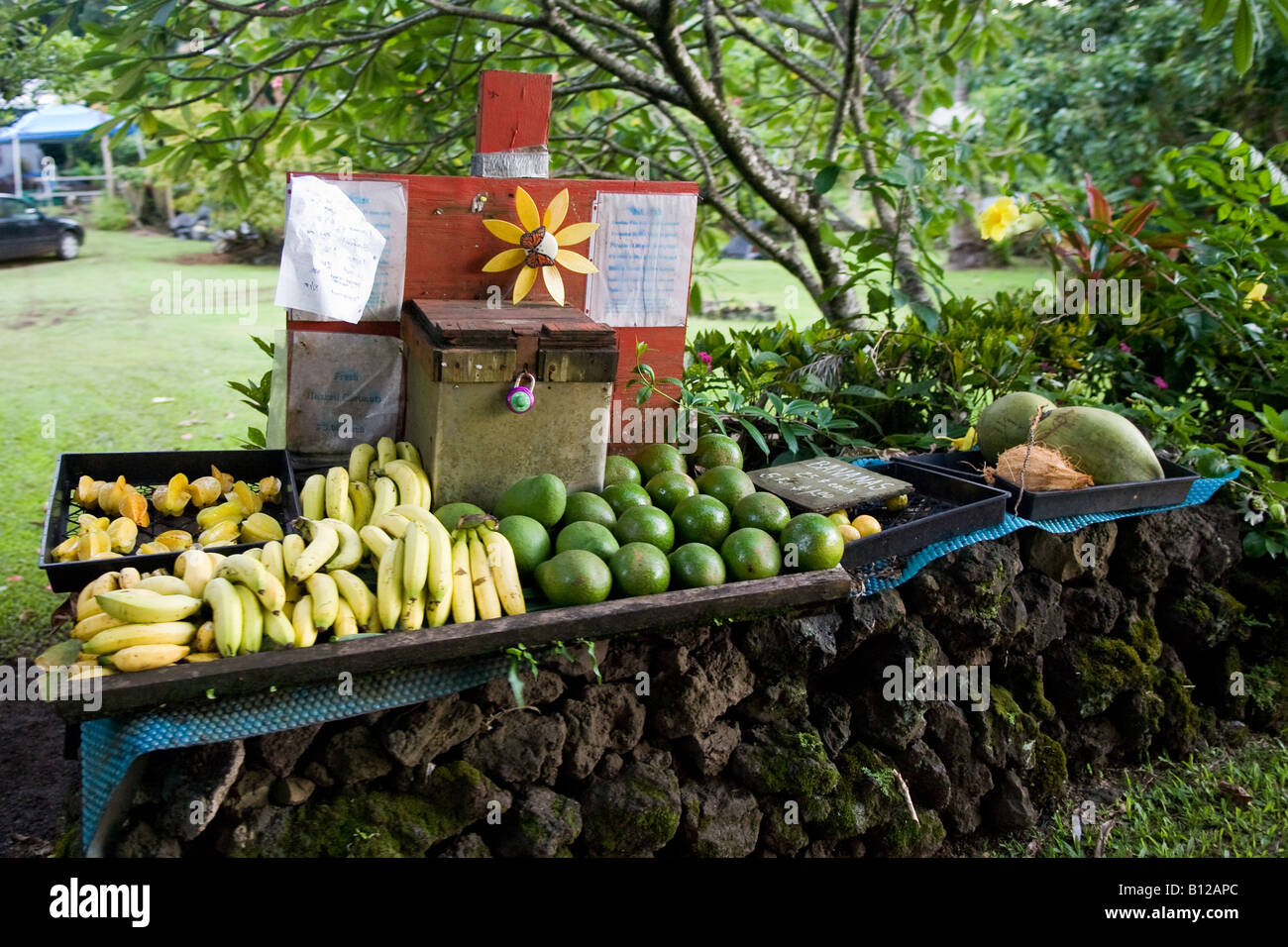 Mangoes fruit maui hi-res stock photography and images - Alamy