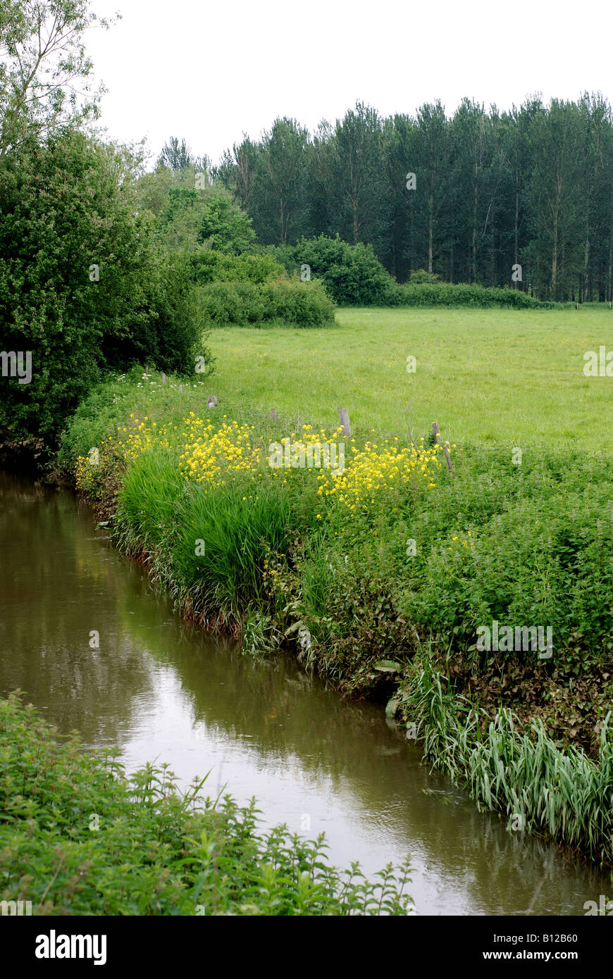 River Evenlode at Daylesford, Gloucestershire, England, UK Stock Photo ...