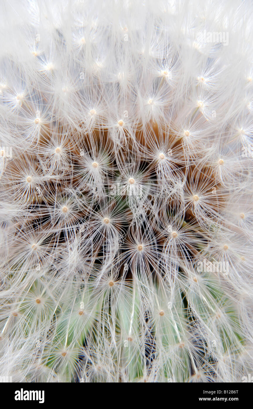 Extended Depth Of Field Photography