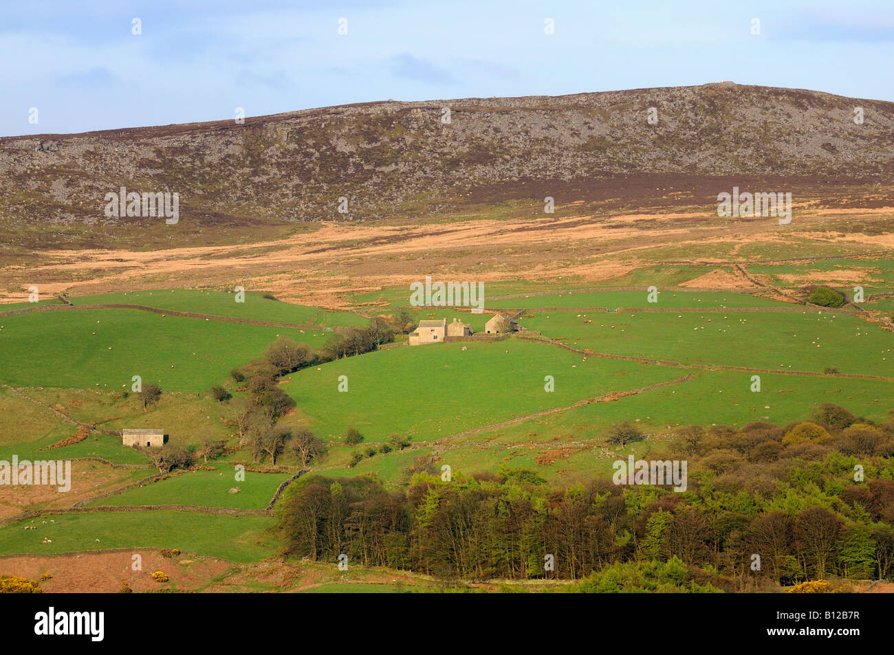 Bracken farm scene rural hi-res stock photography and images - Alamy