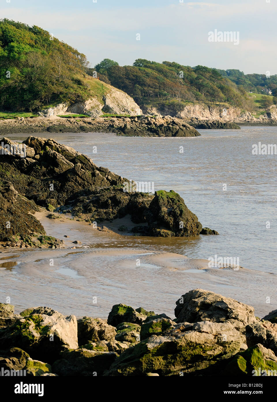 The coastline at Silverdale on Morecambe Bay Stock Photo - Alamy