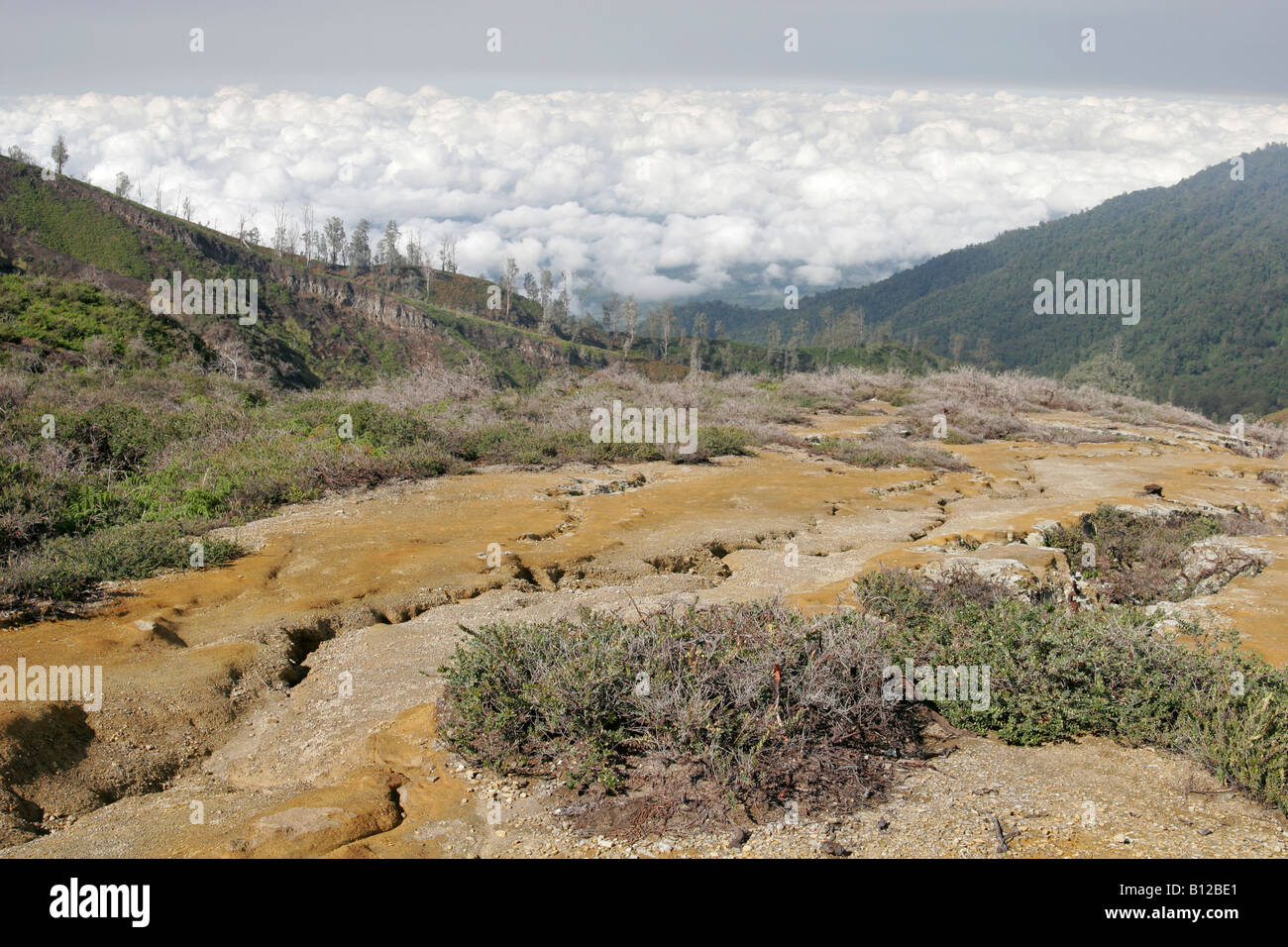 On the top of active volcano above the clouds, Ijen plateau, East Java ...