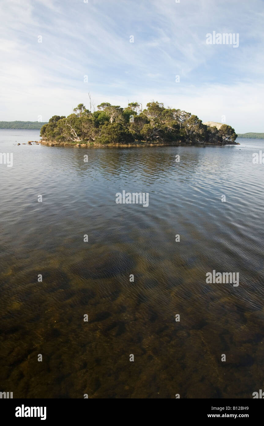 A small isolated tree covered island in Wilson Inlet, named Honeymoon ...