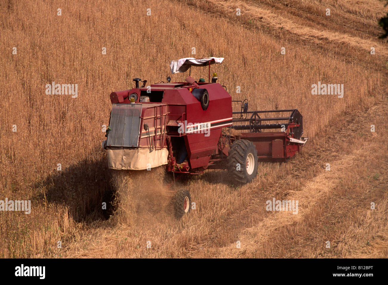 Italy, Basilicata, Roccanova, wheat harvest Stock Photo - Alamy