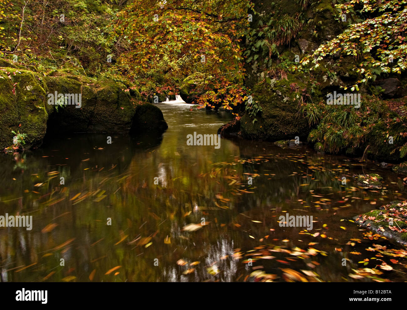 Rumbling bridge devon hi-res stock photography and images - Alamy