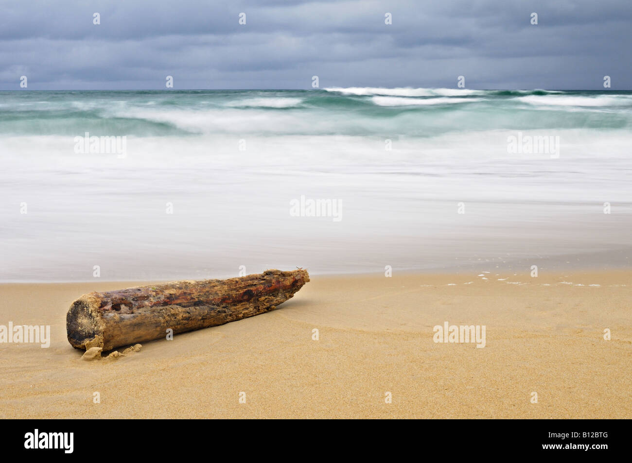 Beach log hi-res stock photography and images - Alamy