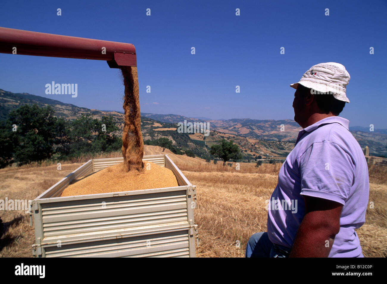 Italy, Basilicata, Roccanova, wheat harvest, harvester and farmer Stock ...