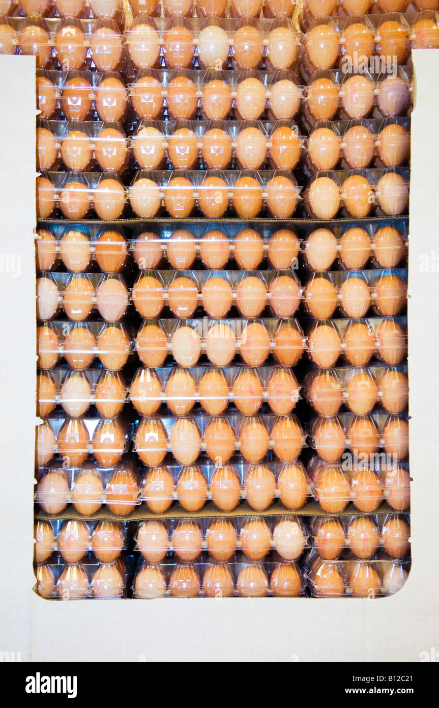 Stack of eggs in transparent cartons Stock Photo - Alamy