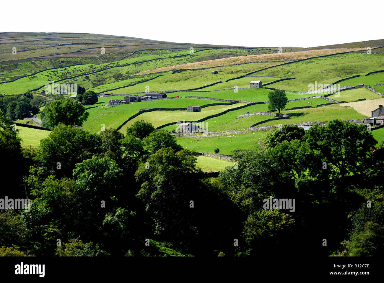 Fields and moorland in summer near Keld North Yorkshire England UK ...
