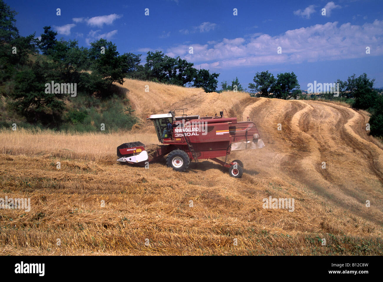 Italy, Basilicata, Roccanova, wheat harvest Stock Photo - Alamy