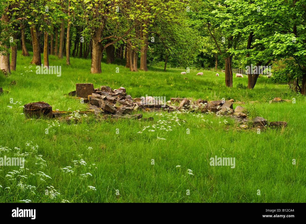 Monastery ruins at Hovedøya Stock Photo - Alamy
