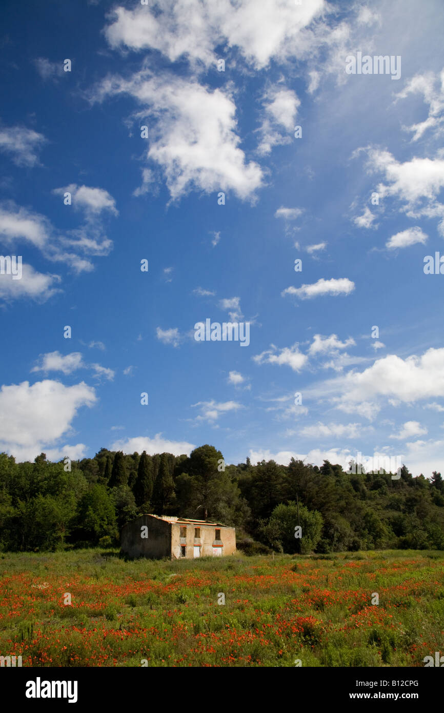 French landscape of a poppy field against a spring sky with old barn in ...